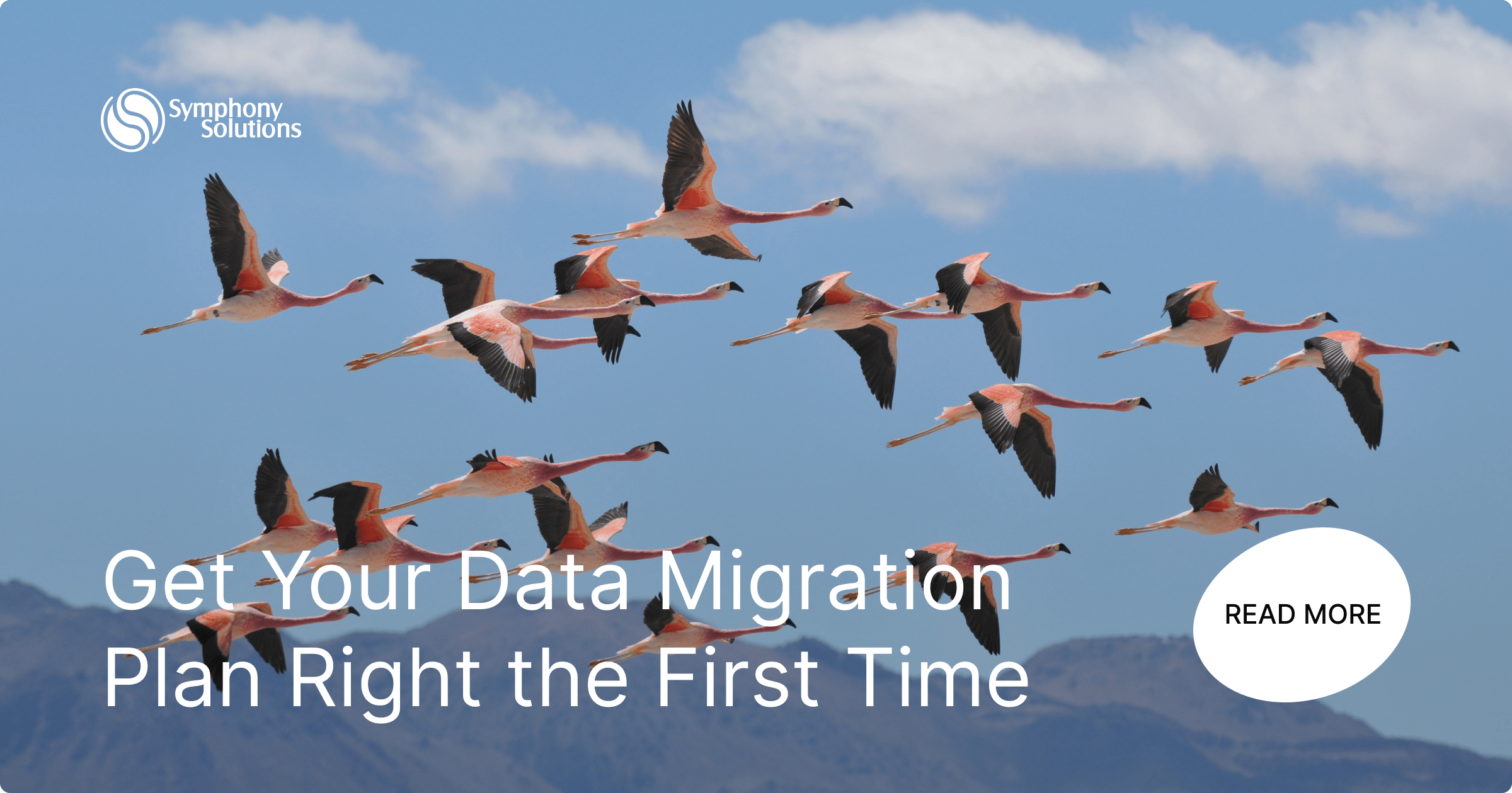 Considerations, Drivers, and Strategies of a Successful Data Migration Plan