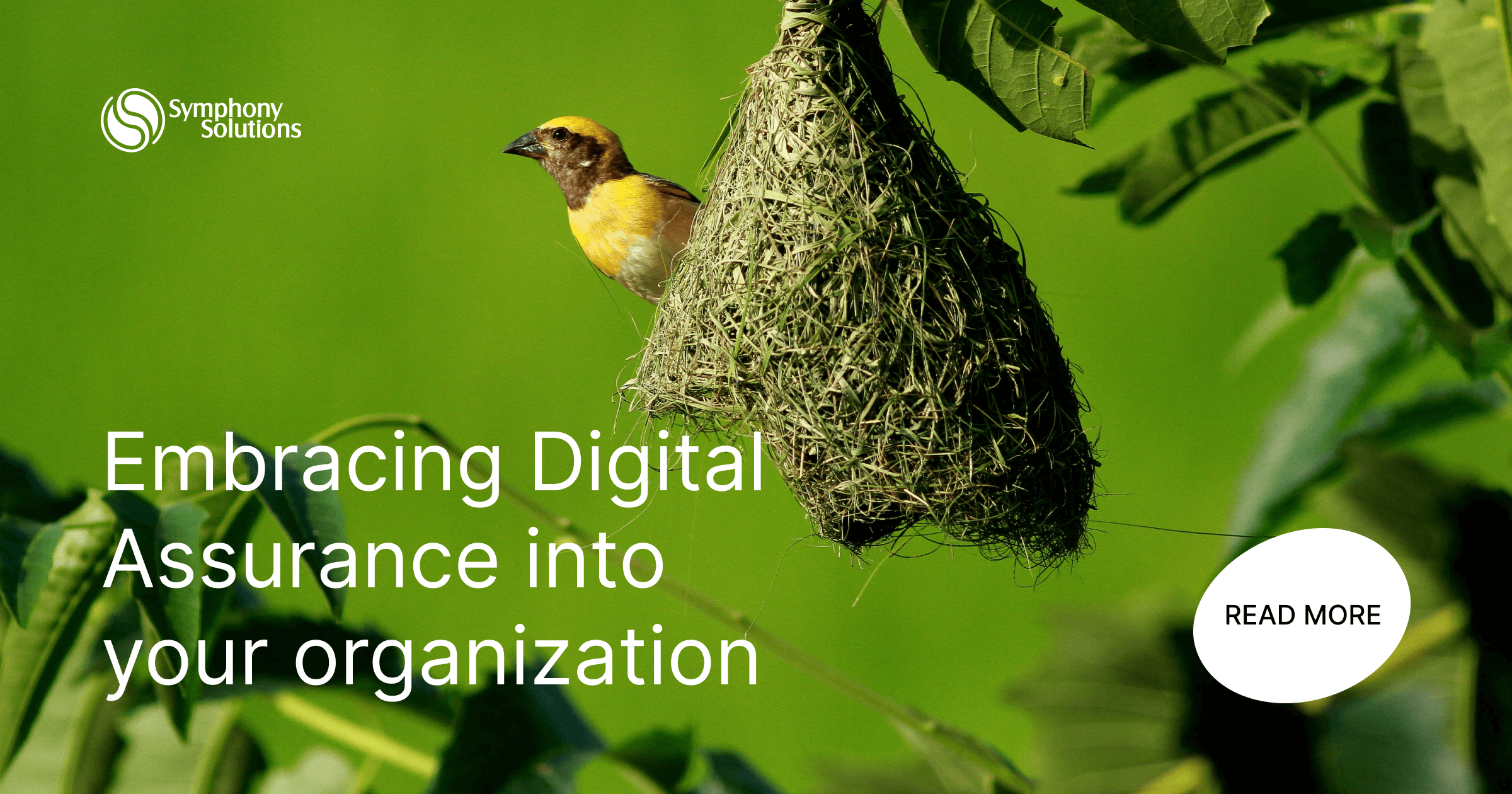 Mastering Digital Assurance Integration for Your Organization