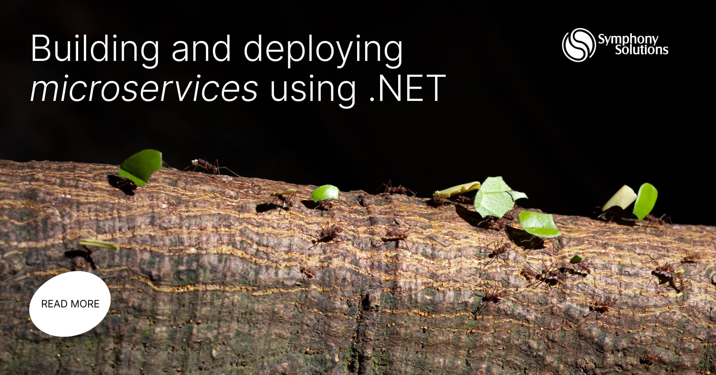 Building And Deploying Microservices Using Net Symphony Solutions